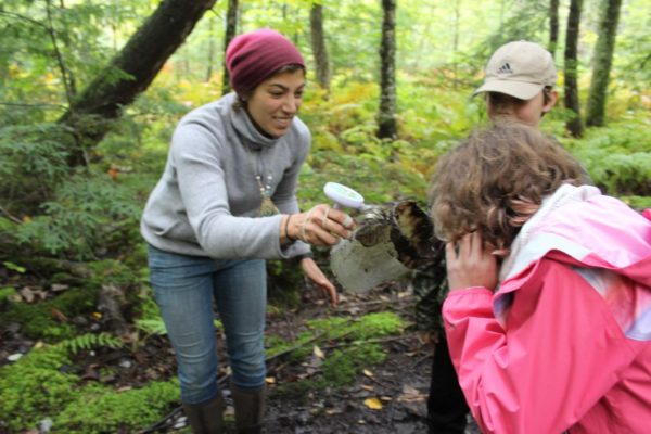 Spring 2019 KEEC Update! ~ Keewaydin